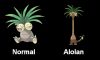 What are Alolan Pokémon? Info & Complete List - Coded Yellow